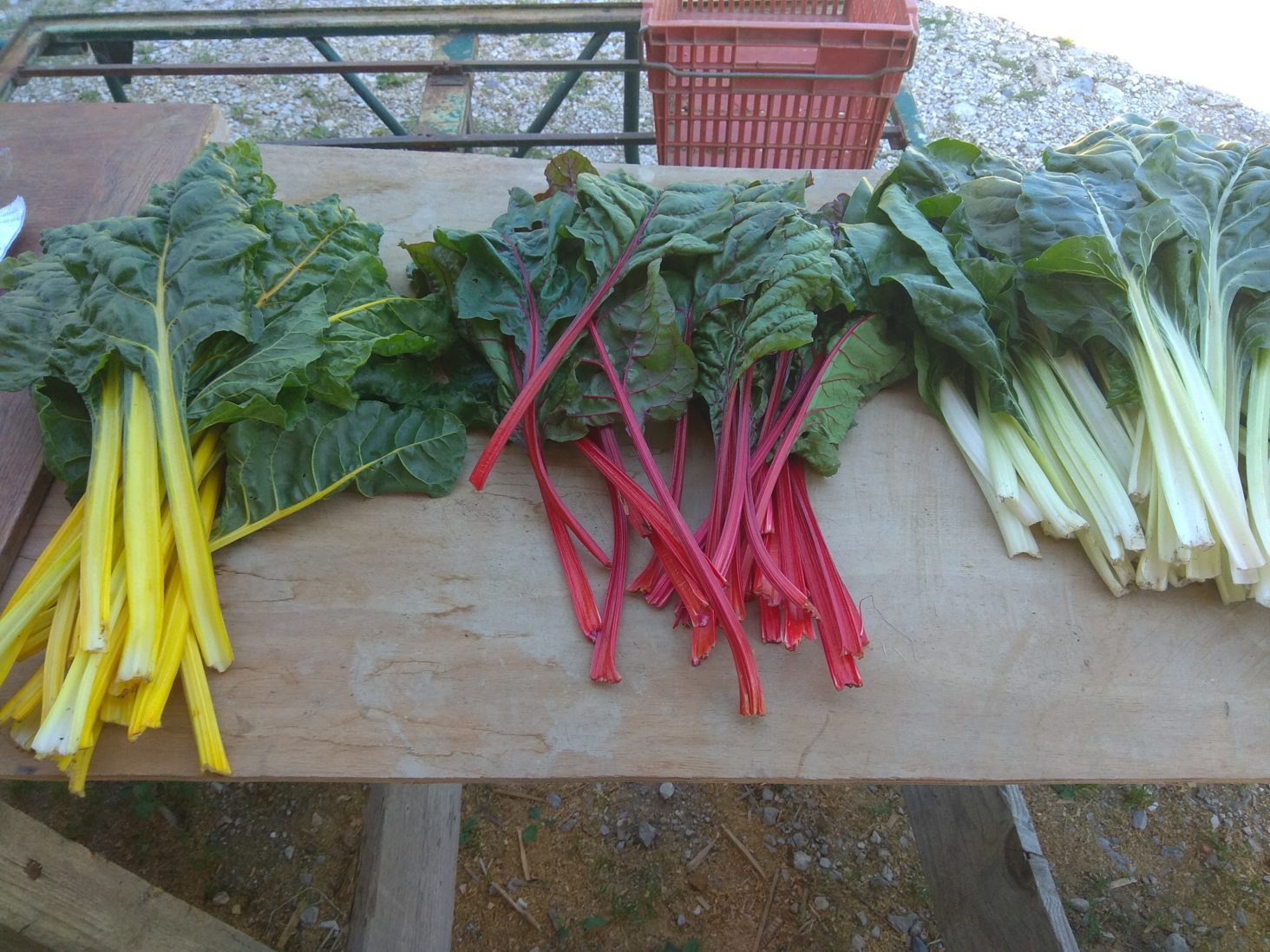 Idées recettes / Que faire avec ses blettes ? - Le Jardin de la Courtiliere