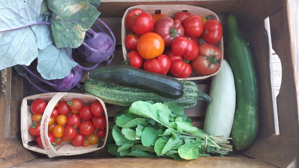 Votre panier de légumes BIO-logique à Grésy-sur-Aix - Le Jardin de la ...